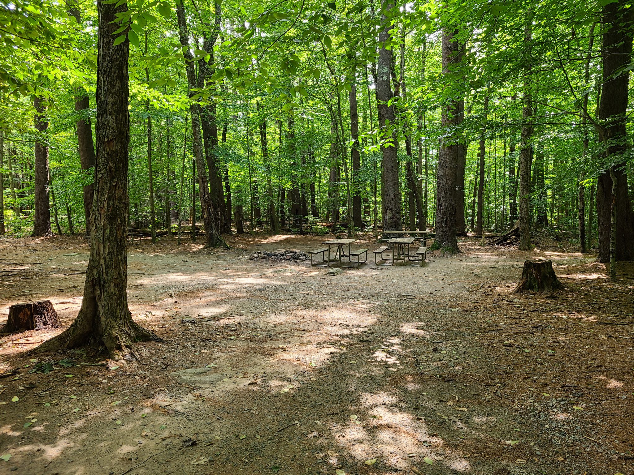 Camp Overflow